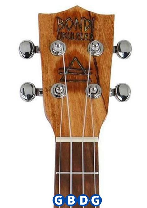 Ukulele Tuning Notes Standard Everjoys Soprano Ukulele Starter Kit