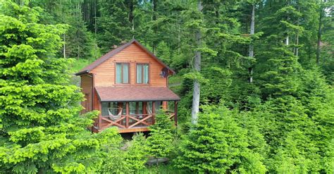 Безкоштовне стокове відео Forest House Nature Recreation In Nature