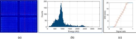 a the intensity map flood histogram of one detector panel b