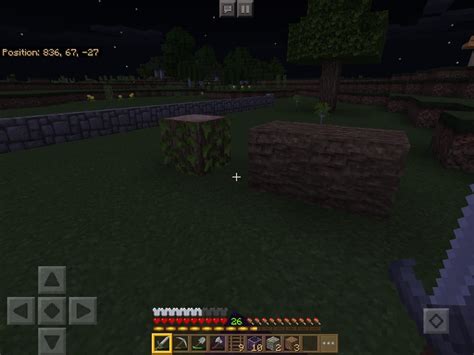 Sooo Have You Ever Seen A Dead Tree Spawn From A Oak Sapling R Minecraft