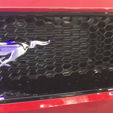 Thomas Eigenmann Posted On Linkedin