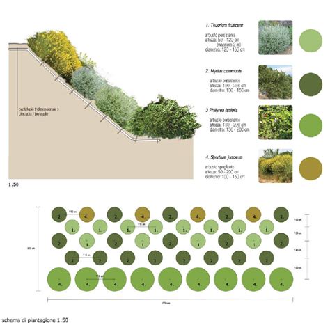 Planting Patterns For Remodeling And Consolidating The Slopes Within