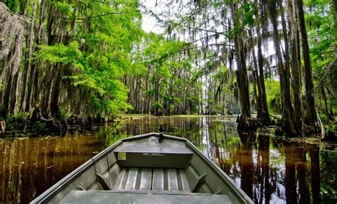 Diving Into The Heart Of Bayou Country Louisianas Eclectic Cajun Culture