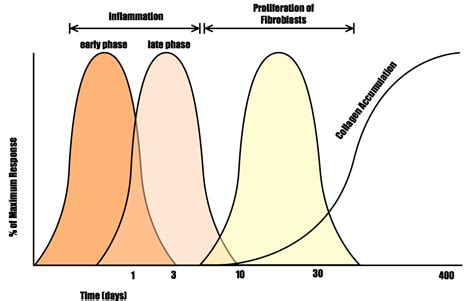 Prolotherapy Interventional Pain Center