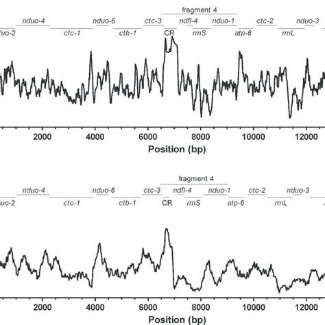 analysis of sequence variability along the sequence of the