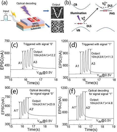 Recent Advances In Neuromorphic Transistors For Artificial Perception Applications Focus Issue