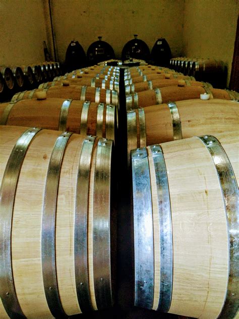 Oak Aging Wine