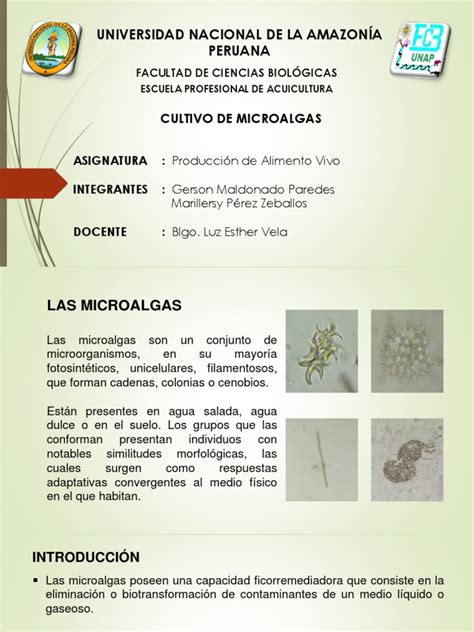 Cultivo De Microalgas Pdf Biomasa Dióxido De Carbono