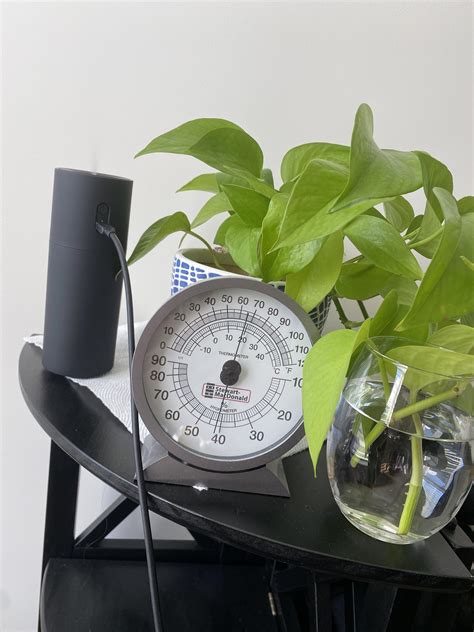 Mini Humidifier Beside Pothos Good Idea Bad Idea Pointless Rhouseplants