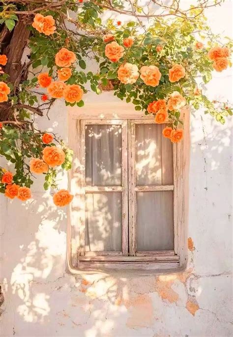 ️💚🤍🖤 ️💚🤍🖤 Nadeem Siddiqui ️💚🤍🖤 ️💚🤍🖤 Nadeem Siddiqui