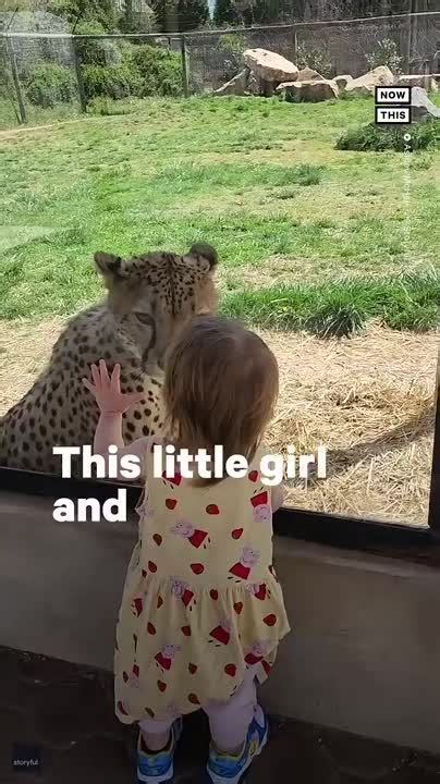 Coding Dsa On Linkedin Computer Science Basics Mastering Error