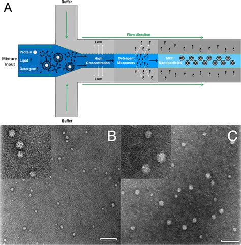Preparation Of Mppns Using A Microfluidics Based Free Interface