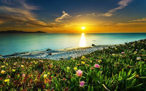 Nature Landscape Beautiful Sunset