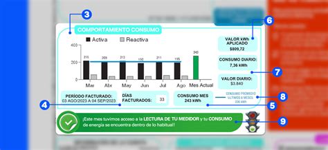 ¿cómo Leer Mi Factura De La Luz Enel Colombia