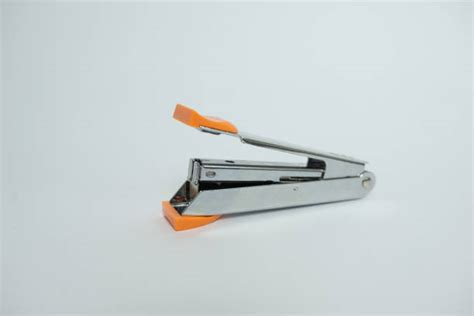 80 Stepler Fotos De Stock Imagens E Fotos Royalty Free Istock