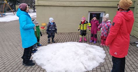 Roheline Kool Eestis Lasteaed Väike Pauline