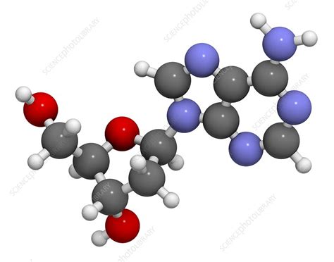 Deoxyadenosine Nucleoside Molecule Stock Image F0106802 Science