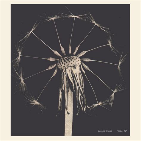 Artists Maxine Funke