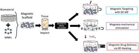 Bioengineering Special Issue Electric Magnetic And