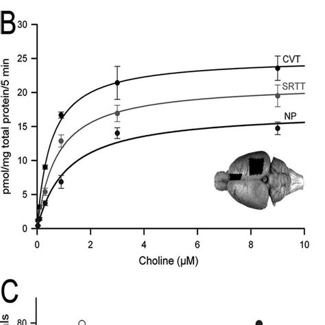 Results From Choline Uptake Assays And Correlations With Performance Download Scientific