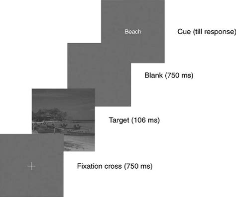Trial Schematic For Experiment 1 Download Scientific Diagram