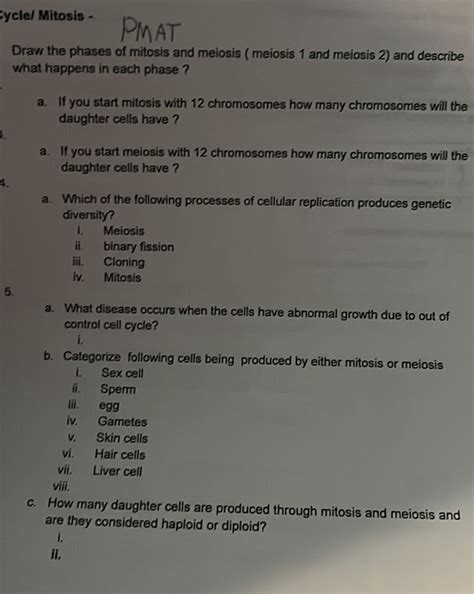 Ycle Mitosis Pmat Draw The Phases Of Mitosis And Meiosis Meiosis 1 And Meiosis 2 And