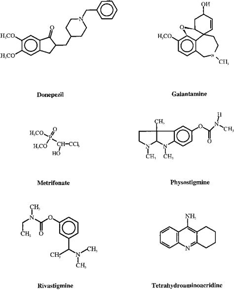 Acetylcholinesterase Structure