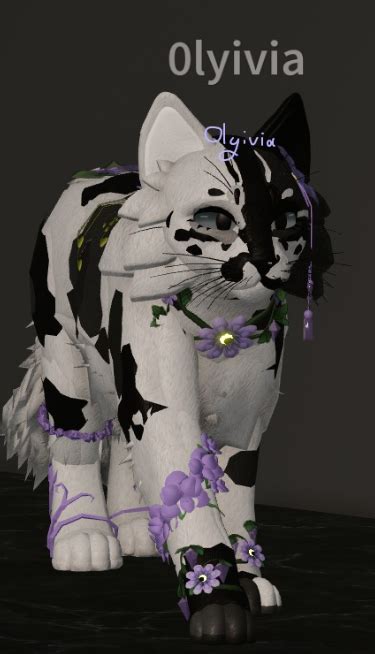 Grey And Pink Wcue Morph Inspiration Artofit