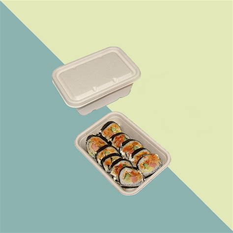 G Microwave Safe Sustainable Plant Based Rectangular Bagasse Disposable