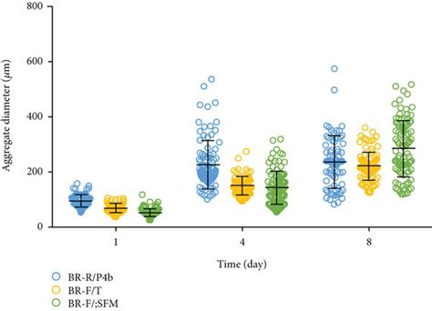 Effect Of Bioreactor Configuration And Culture Medium Composition On