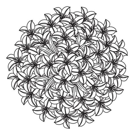 Stargazer Lily Coloring Pages 2025 Stargazer Lily Coloring Pages 2025