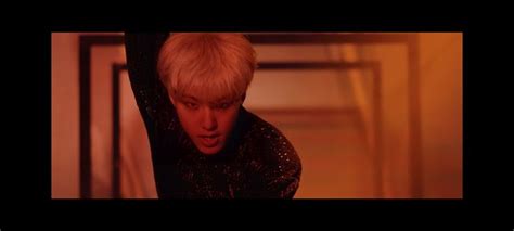 Hoshi Spider Hoshi Spider Picture