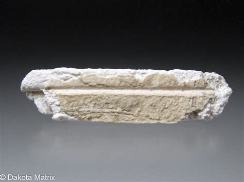 Monetite Archived Mineral Specimens