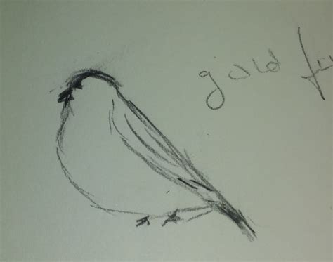 Compassion Drawing At Explore Collection Of