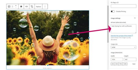 How To Add ALT Text To Images For Better SEO WPkind
