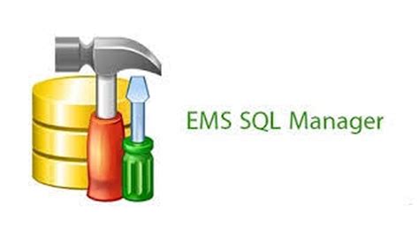 Ems Sql Manager 日本語化 Complex Life