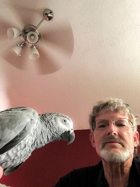 Zenfolio T L Photos Selfies With Sophia