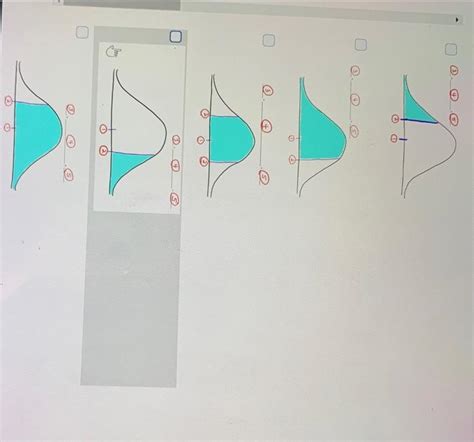 First Select The One Correct Image Below That You Chegg Com