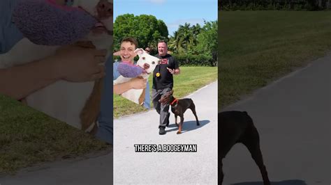 How To Get Goodies Tips And Advice Tabby Cat Chrome Extension