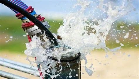 Support Capacity Grows As Brands Reach Expands East African Agri News