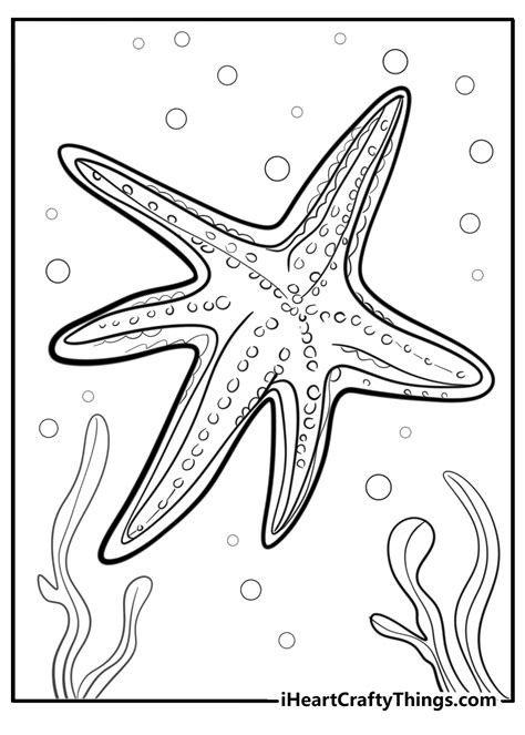 Sea Star Coloring Page Twisty Noodle