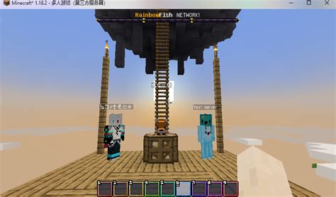 Blocks Rendered Wrongly When Joining A Bungeecord Server · Issue 97 · Additional Mods