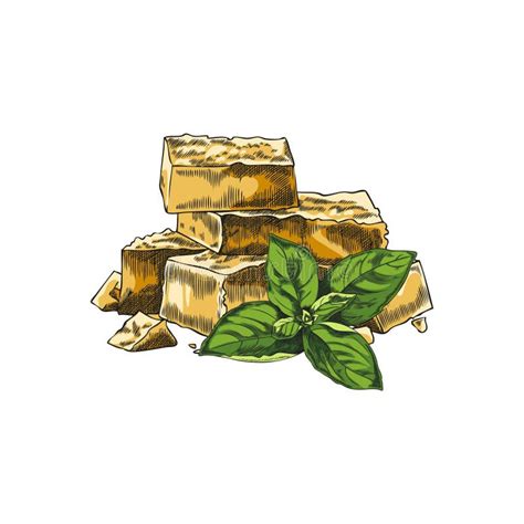 Cheese Parts Sketch Parmesan Brick Pieces With Basil Leaves Milk Food Production Hand Drawn