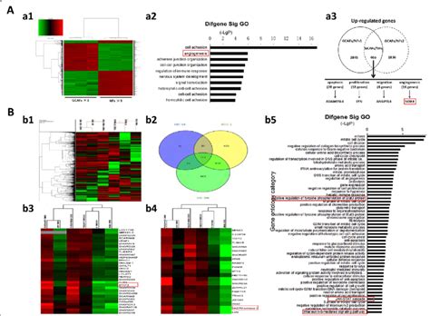 Microarray Analysis Of Differential Gene Profiles In Vivo A