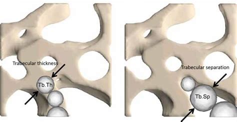 Kara Advanced Medical Physics Group On Linkedin Guidelines For