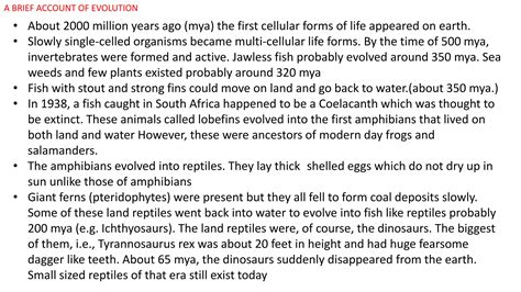 Evolution Class 12pdf For Class 12 Biology Pdf