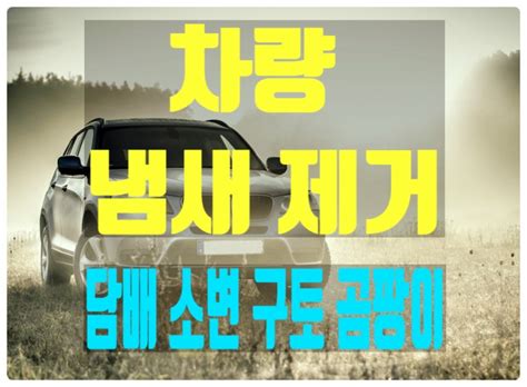차량 담배 냄새 제거 방법 자동차 실내 냄새 제거 구토 소변 곰방이 네이버 블로그