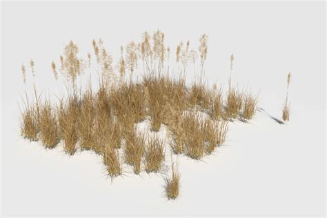 Grass Leaf Starwort Meadow 3d Model Patch