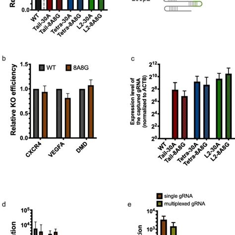 Pdf Direct Seq Programmed Grna Scaffold For Streamlined Scrna Seq In