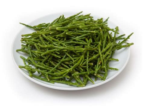 7 Promising Benefits Of Samphire Organic Facts
